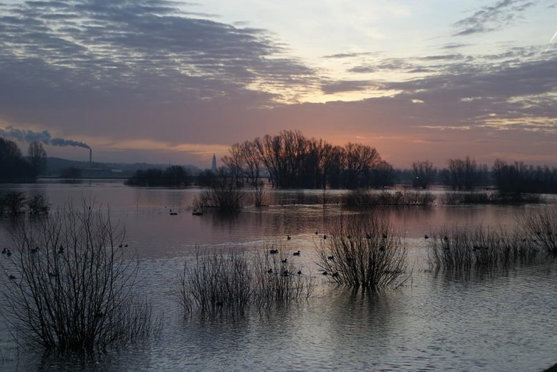 Minicamping het Wielseveld, de natuur van de Betuwe